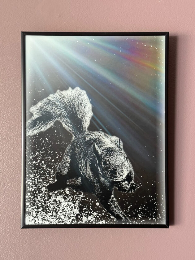 Alpena-area woman cares for, photographs squirrels | News, Sports, Jobs ...